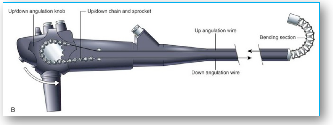 Bending Section&Assembly - Endoscope Repair Parts